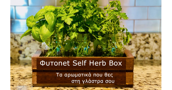 Φυτοnet Self Herb Box